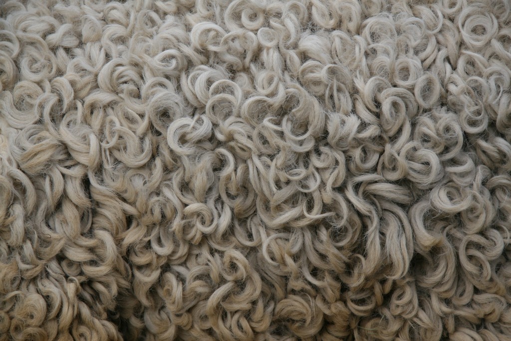 About Us - The Knitting Shed